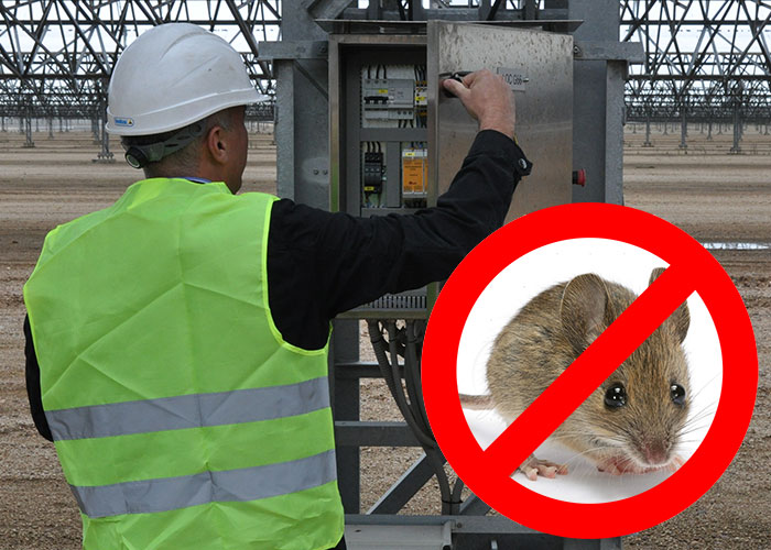 Did you know all Westermo managed switches are sealed to at least IP40?